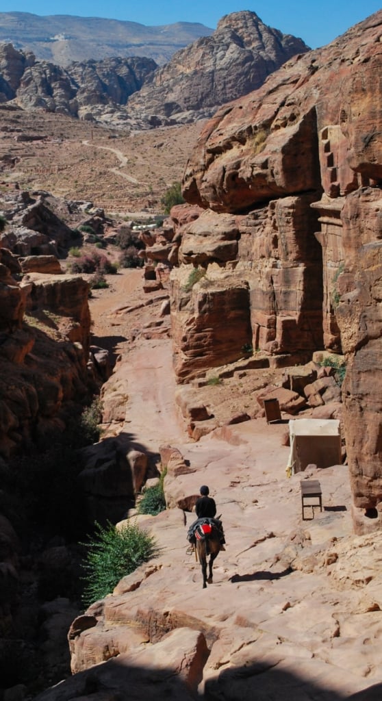 Greatest Things You Must Do in Petra - Gathering Dreams