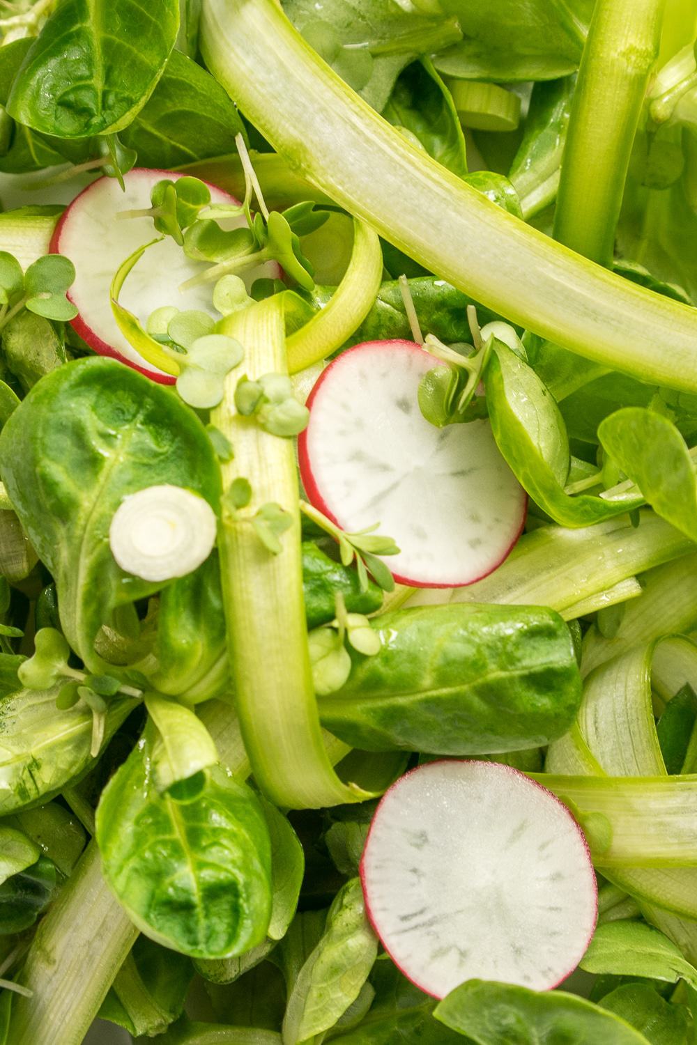 Refreshing Spring Salad - Gathering Dreams