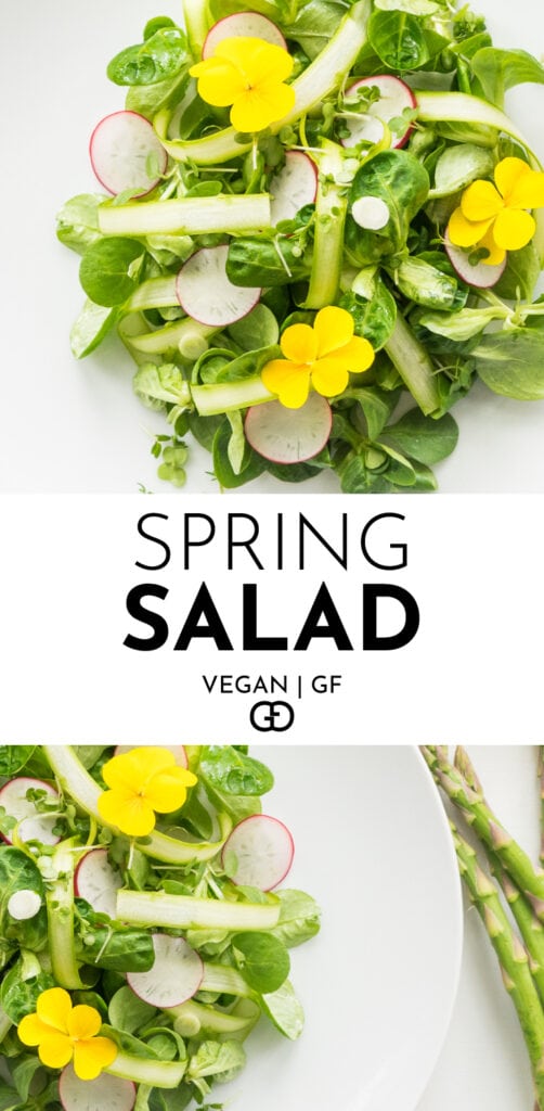 Refreshing Spring Salad - Gathering Dreams