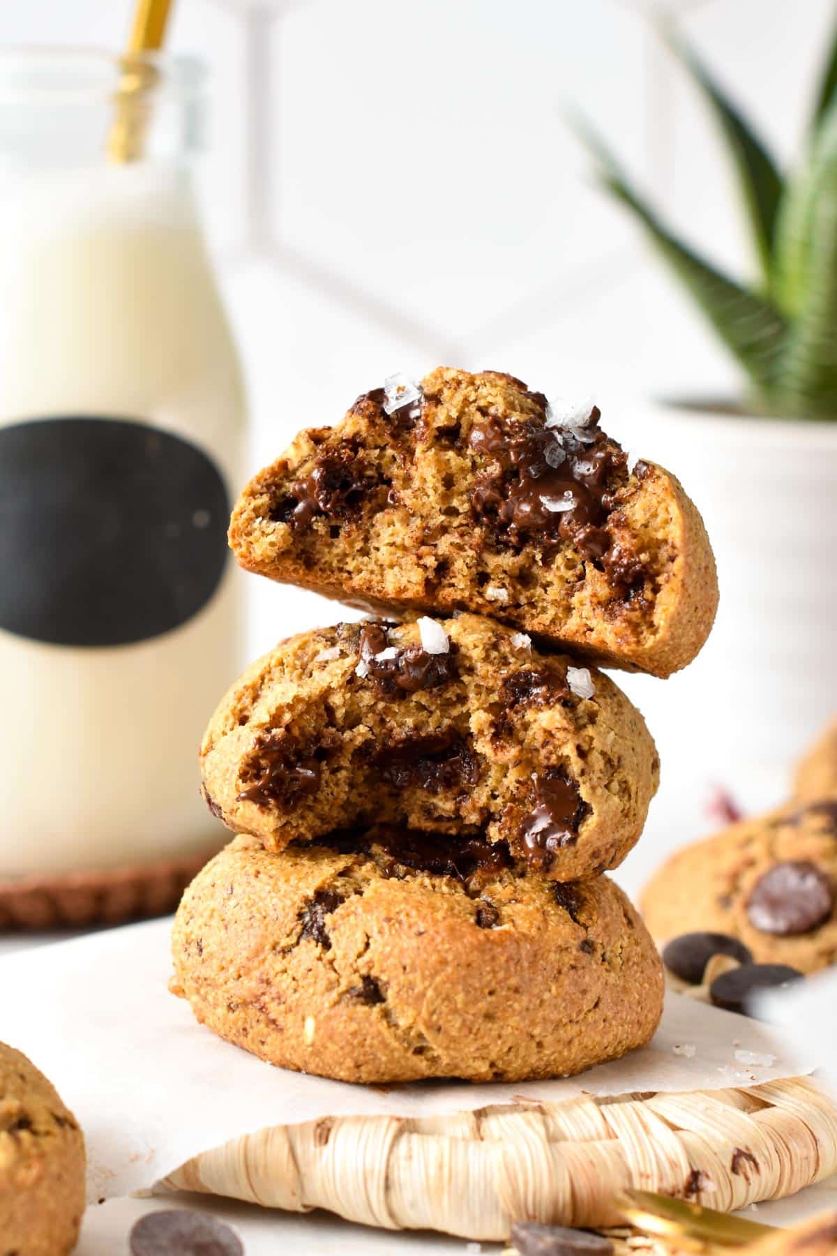 15 Best Cottage Cheese Snacks High In Protein - Gathering Dreams